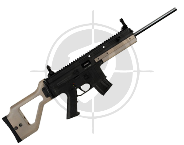 Anschutz MSR RX 22 Precision Rifle - P.B.Dionisio & Co